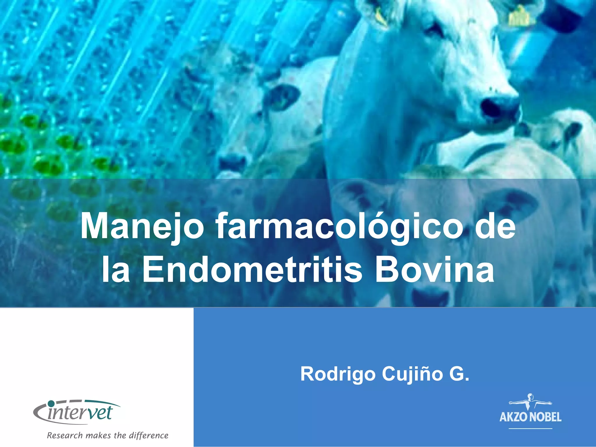Manejo farmacologico de la endometritis bovina nueva version | PPT