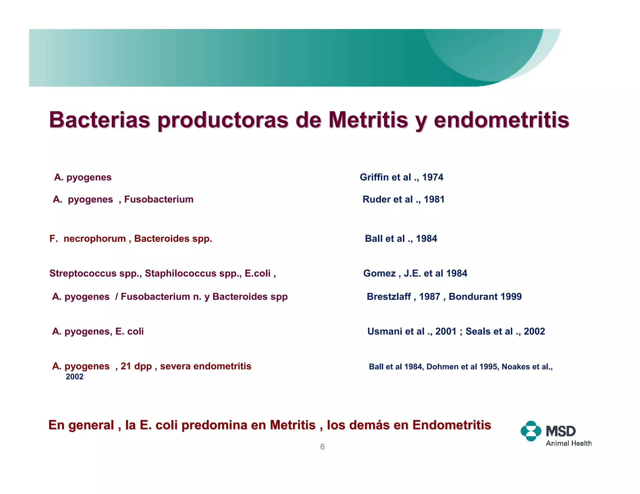 Manejo farmacologico de la metritis y endometritis bovina fp | PDF ...