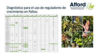 Manejo fisiologico y hormonal del cultivo de palto.pptx