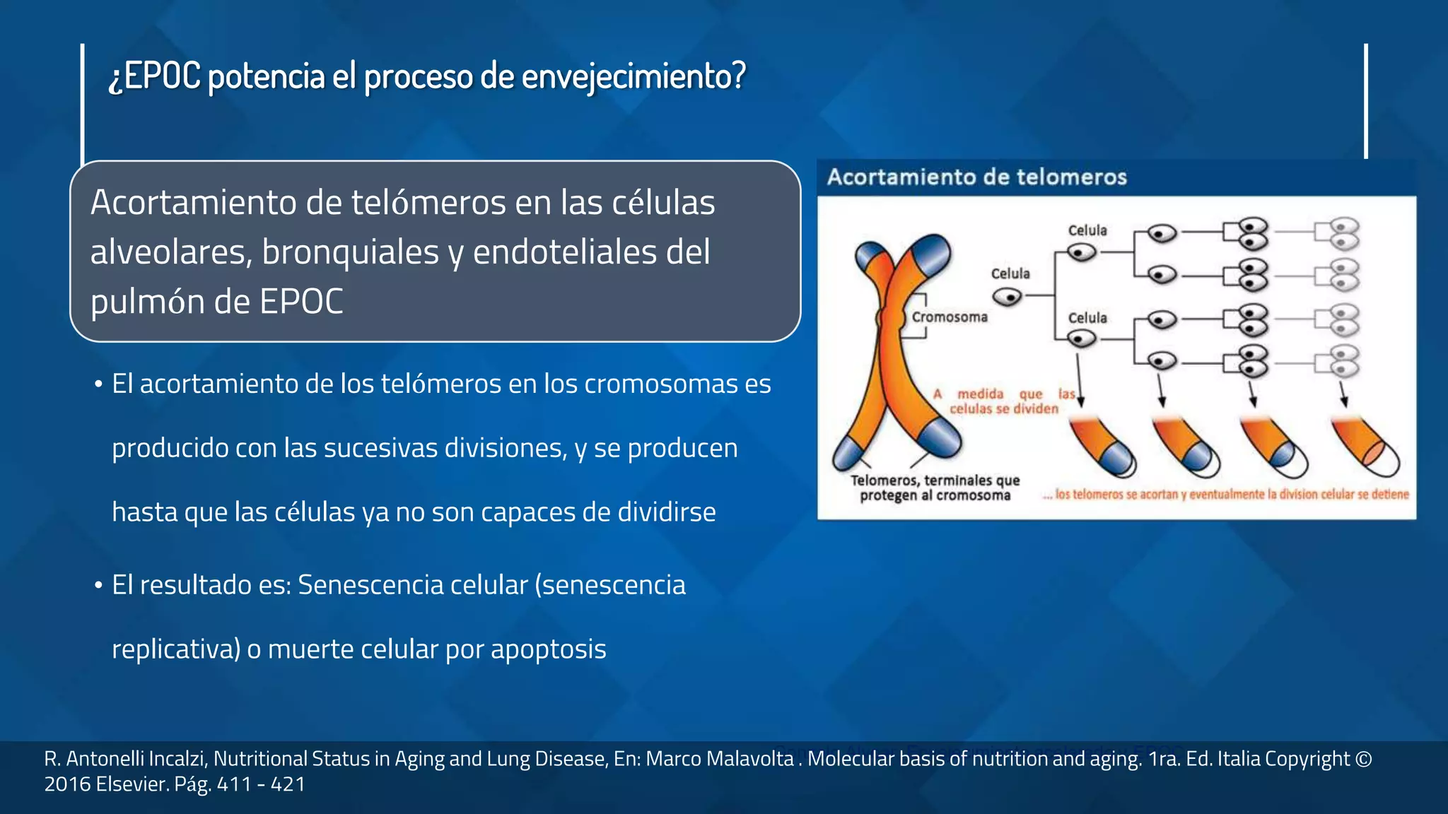 Manejo nutricional del epoc y la insuficiencia respiratoria | PPSX