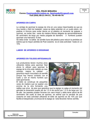 Manejo post cosecha de chia | PDF