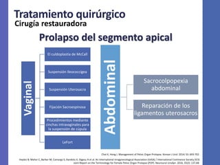 Manejo Quirúrgico del Suelo Pélvico | PPTX