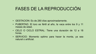 MANEJO REPRODUCTIVO Y SANITARIO EN VACAS LECHERAS.pptx