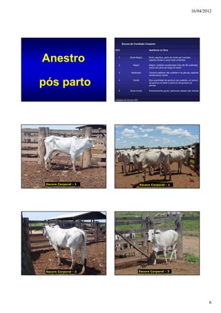 Manejo reprodutivo em bovinos de corte low | PDF