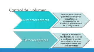 Manejos de liquidos y electrolitos en paciente quirugico | PPTX