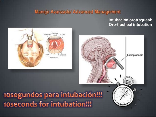 Manejo via aerea / Airway Management