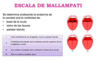 Manejo Via aerea artificial.pdf