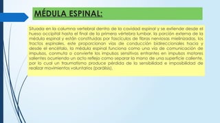 MANEJO Y CUIDADOS DE ENFERMERIA. Del paciente en emergencia pptx | PPTX