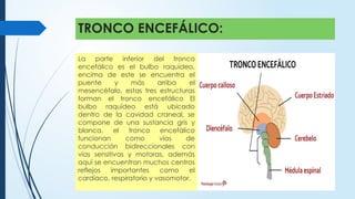 MANEJO Y CUIDADOS DE ENFERMERIA. Del paciente en emergencia pptx | PPTX