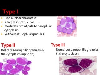 Leukemias-basic pathology | PPTX