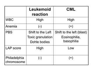Leukemias-basic pathology | PPTX