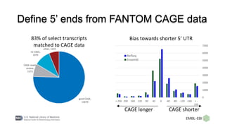Mane v2 final | PPTX | Databases | Computer Software and Applications