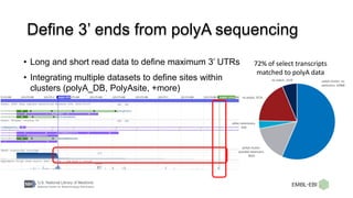 Mane v2 final | PPTX | Databases | Computer Software and Applications