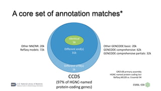 Mane v2 final | PPTX | Databases | Computer Software and Applications