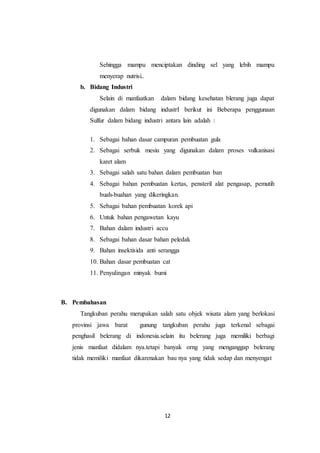 Manfaat Belerang di gunung tangkuban perahu | DOCX