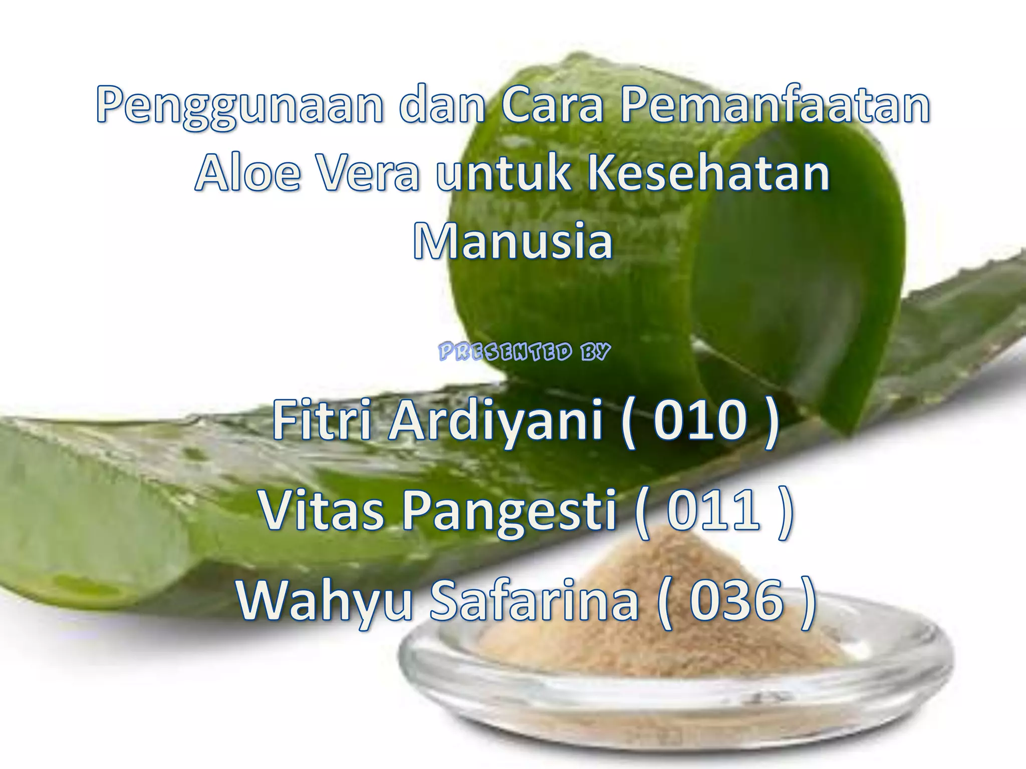 Manfaat Aloe Vera untuk Manusia Beserta Zat yang dikandungnya | PPTX