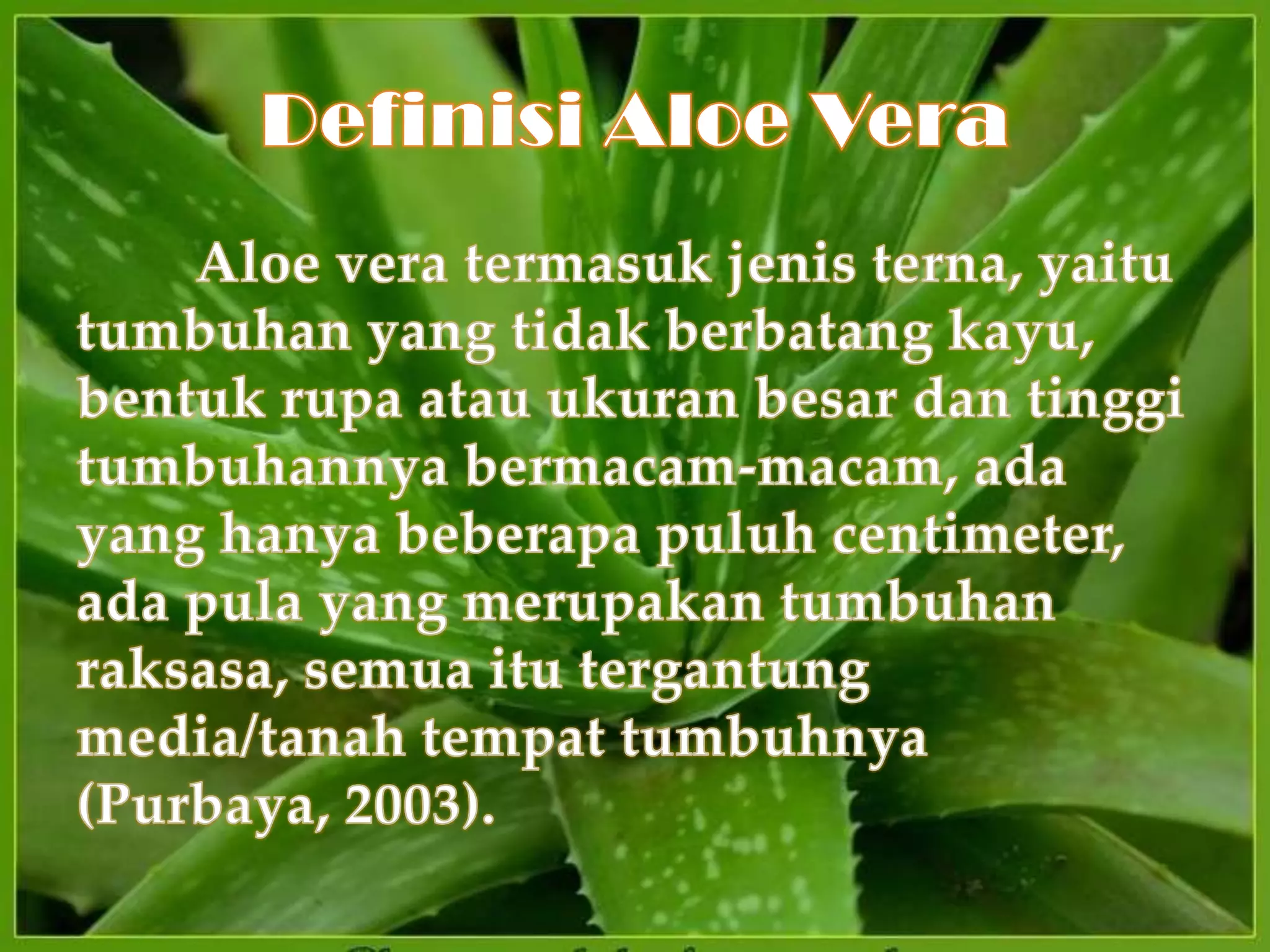 Manfaat Aloe Vera untuk Manusia Beserta Zat yang dikandungnya | PPTX