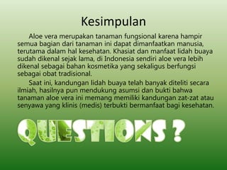 Manfaat Aloe Vera untuk Manusia Beserta Zat yang dikandungnya | PPT