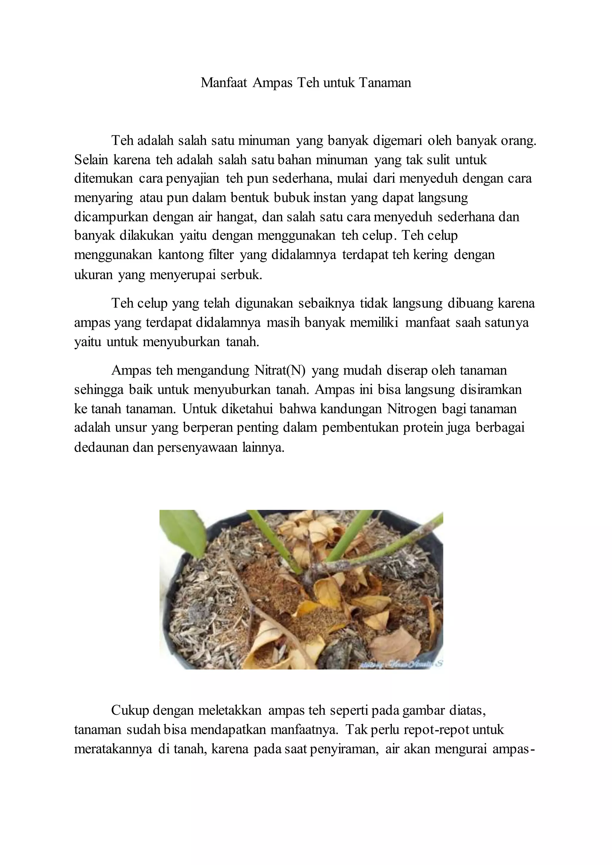 Manfaat ampas teh untuk tanaman | DOCX