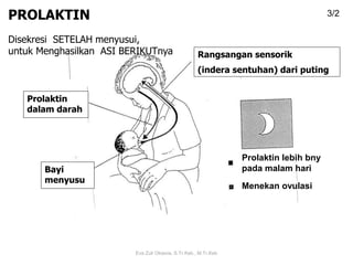 Eva Zuli Oktavia,S.Tr.Keb., M.Tr.Keb_Manfaat ASI.ppt