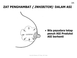 Eva Zuli Oktavia,S.Tr.Keb., M.Tr.Keb_Manfaat ASI.ppt