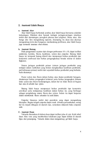 Manfaat Lidah Buaya | DOCX