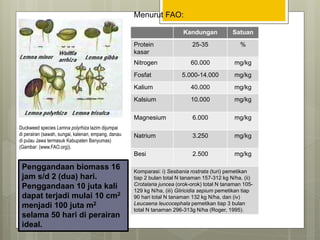 Manfaat futuristik azolla dan lemna untuk pertanian dan lingkungan ...