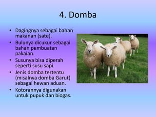 Manfaat Hewan dan Tumbuhan bagi Manusia.pptx