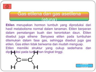 Manfaat hidrokarbon dalam kehidupan sehari hari | PPT