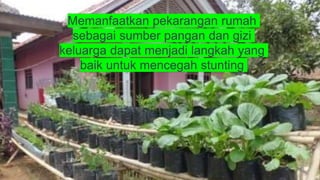 MANFAATKAN PEKARANGAN RUMAH SEBAGAI SUMBER PANGAN DAN GIZI.pptx