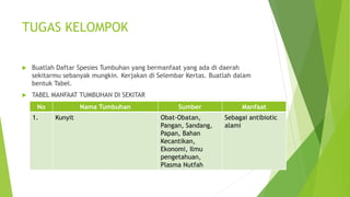 MANFAAT KEANEKARAGAMAN HAYATI.pptx