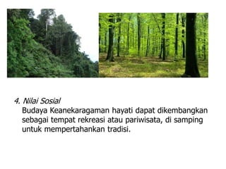 Manfaat keanekaragaman hayati dan konservasi (geografi) | PPTX