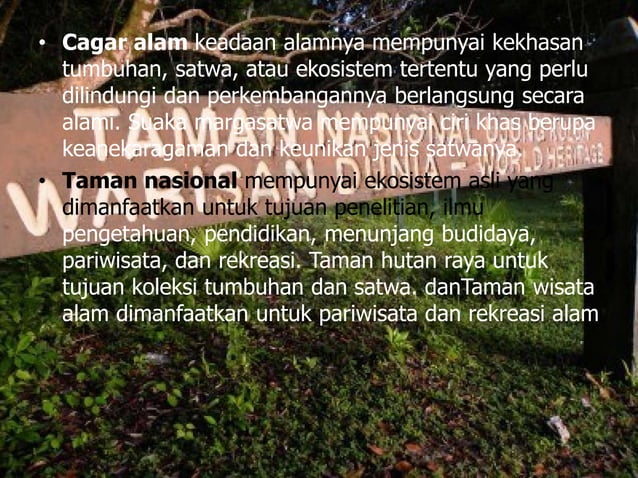 Manfaat keanekaragaman hayati dan konservasi (geografi) | PPTX
