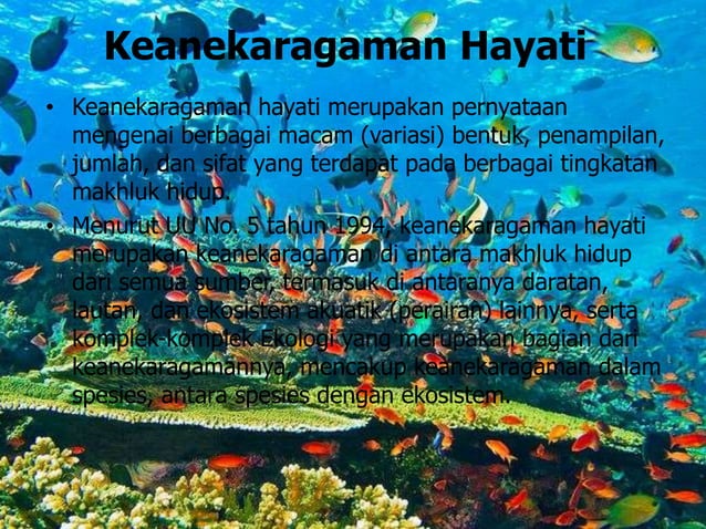 Manfaat keanekaragaman hayati dan konservasi (geografi) | PPTX