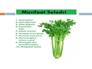 Manfaat sayur dan buah | PDF