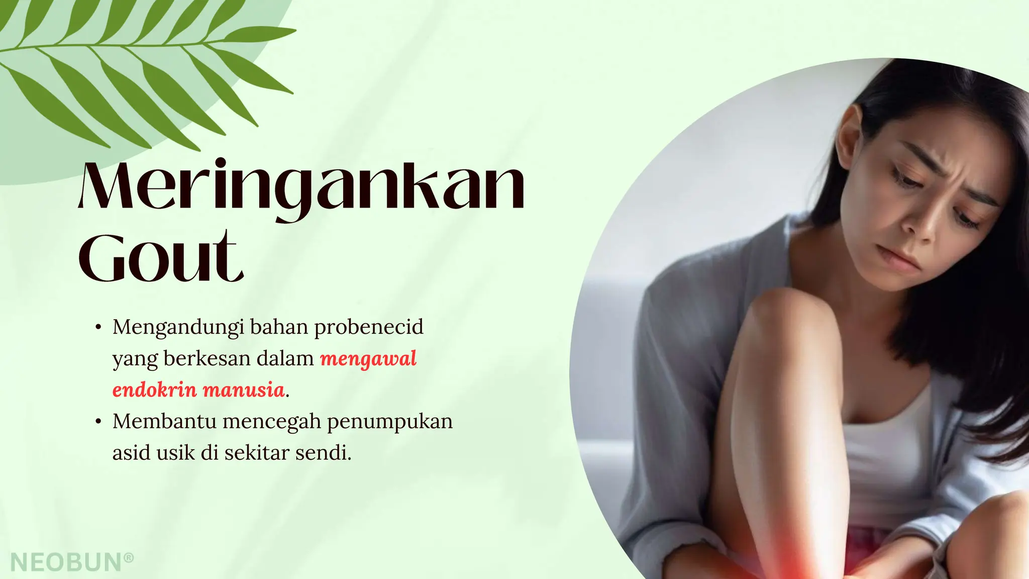 Manfaat Tongkat Ali.pptx