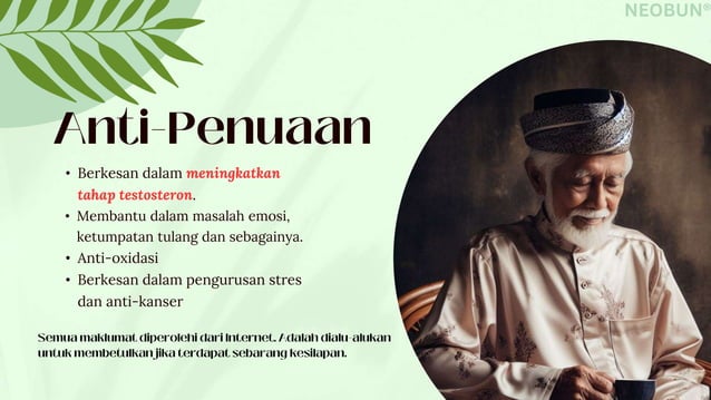 Manfaat Tongkat Ali.pptx