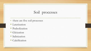 Mangaliso ntuli | PPTX | Gardening | Home & Garden