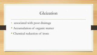 Mangaliso ntuli | PPTX | Gardening | Home & Garden