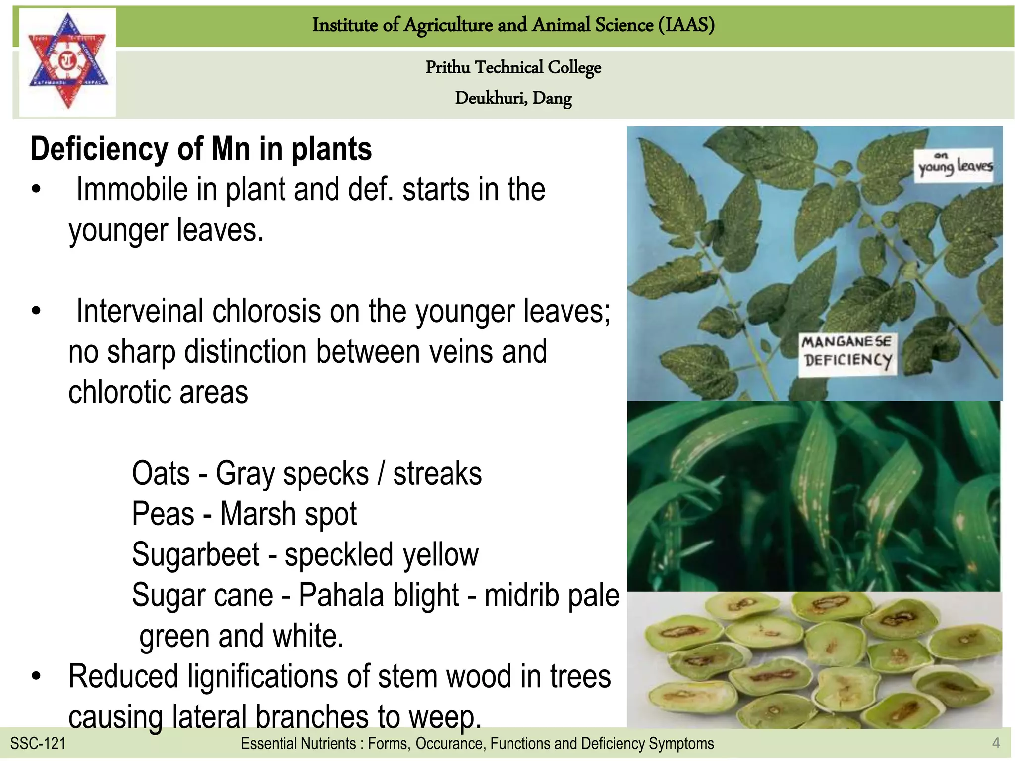 Functions and deficiency of Manganese and molybednum | PPTX