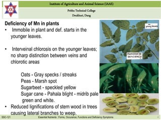 Functions and deficiency of Manganese and molybednum | PPTX