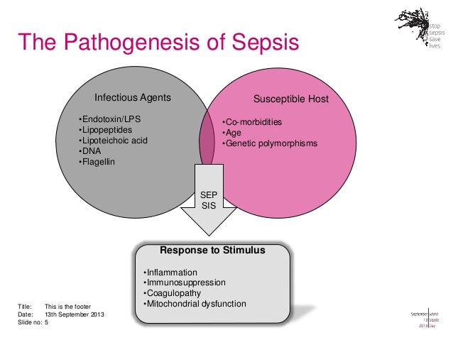 Mangement of sepsis and septic shock