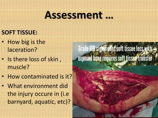 Mangled extremity and it’s management | PPTX