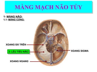 MÀNG NÃO TỦY | PPT