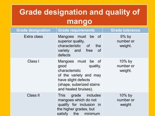 Supply chain of Mango. | PPTX