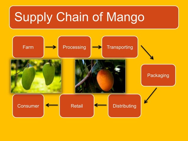 Supply chain of Mango. | PPTX