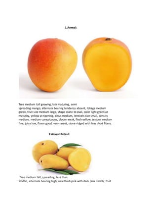 Mango cultivars in pakistan | DOCX