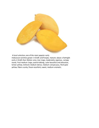Mango cultivars in pakistan | DOCX