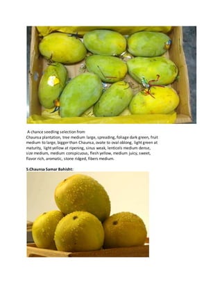 Mango cultivars in pakistan | DOCX