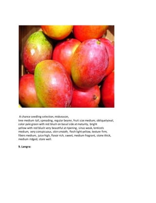Mango cultivars in pakistan | DOCX